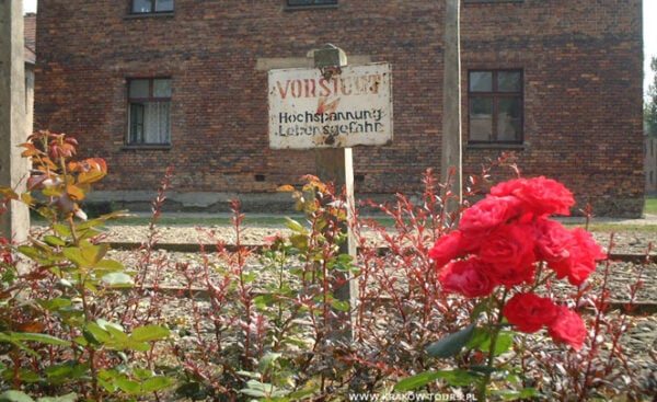 Visiting Auschwitz Concentration Camp - AttractionTix Blog