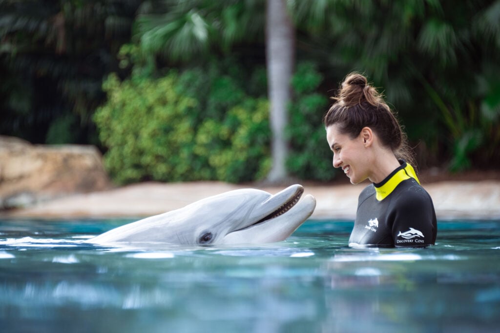 Discovery Cove Day Only Swim Ticket (BLACK FRIDAY OFFER) - AttractionTix