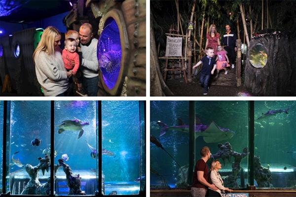 Buy Blackpool Sea Life Centre Tickets - AttractionTix